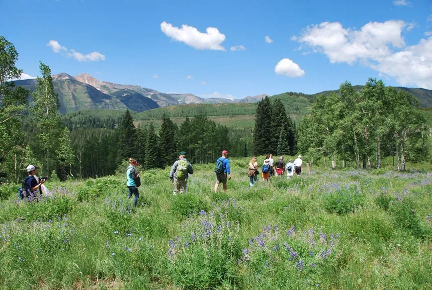 Snodgrass-Gary | Crested Butte Wildflower Festival